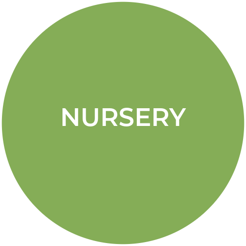 Nursery — Nurtured