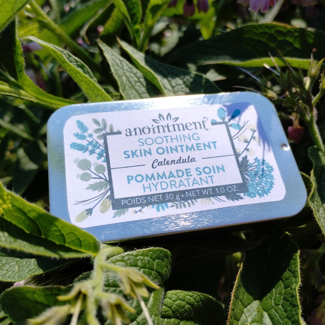 Soothing Skin Ointment in 30g Travel Tin — Nurtured
