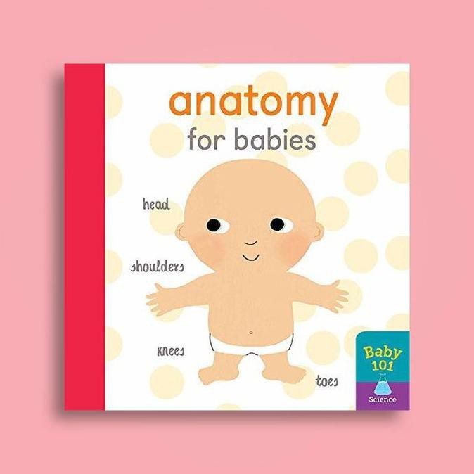 Baby 101: Anatomy — Nurtured